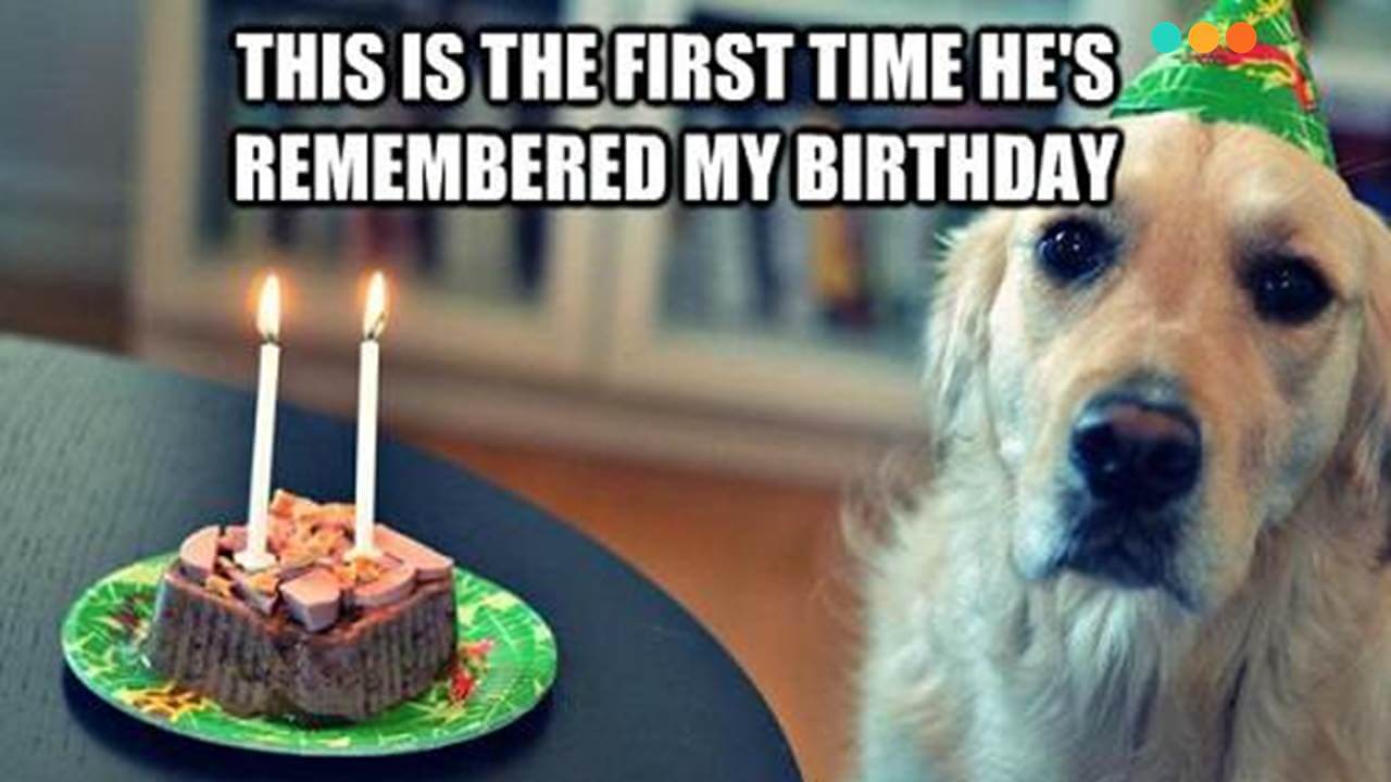 Cách dùng cấu trúc this is the first time trong tiếng Anh - Step Up English